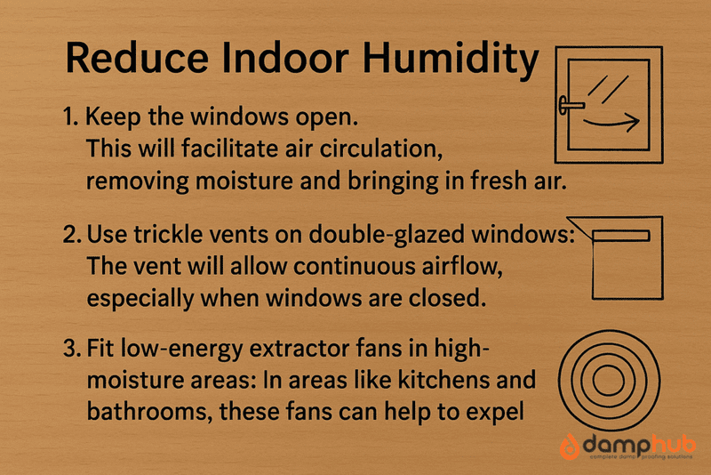 How to Treat Damp Walls Internally – Easy DIY + Expert Fixes